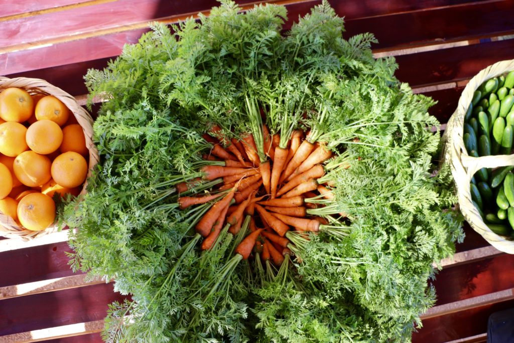 Organic Carrots – Sara’s Organic Food | A New Chapter